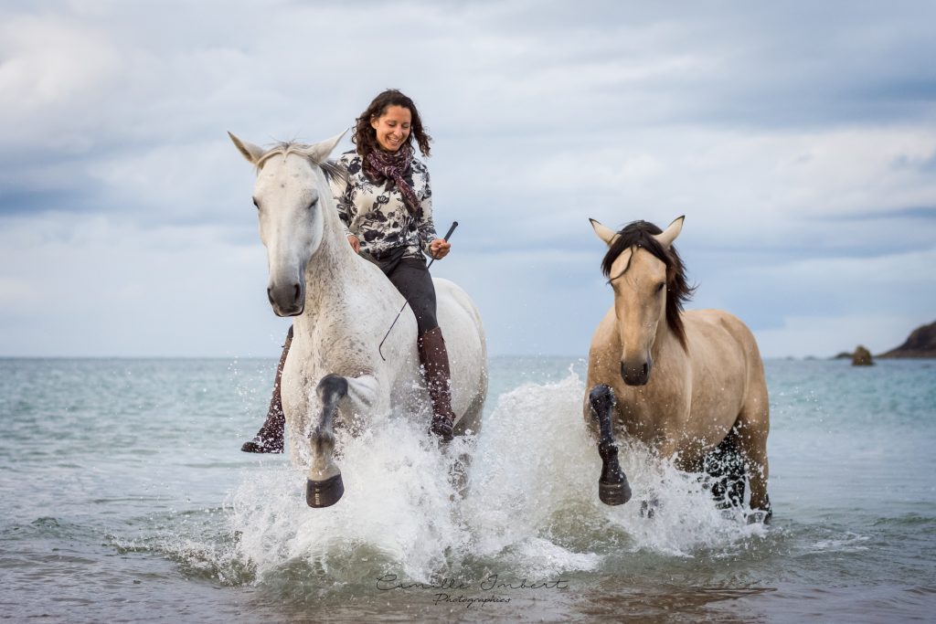 Coaching axé relation homme/cheval - Terres d'Ararat