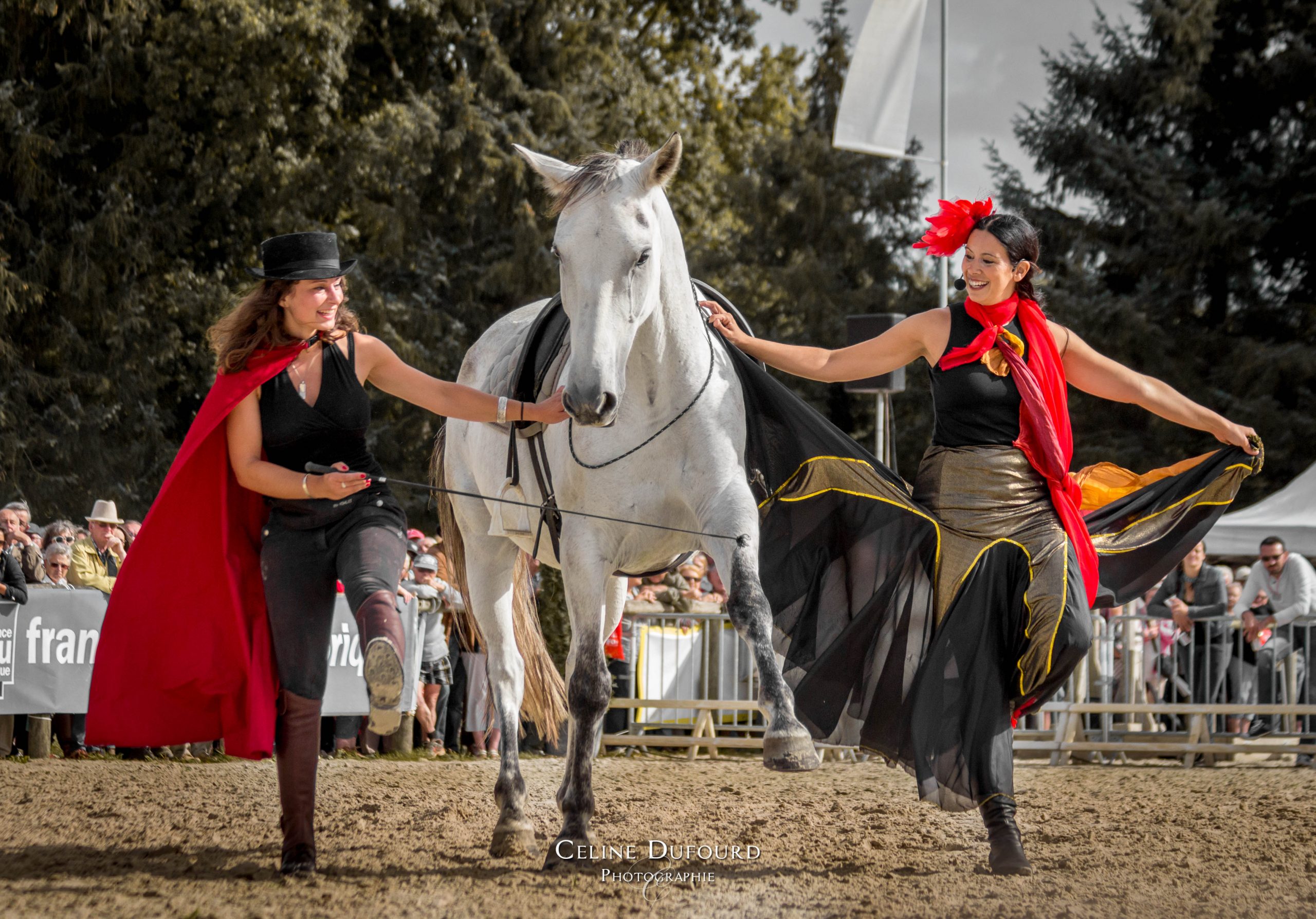 Spectacles équestres - Terres d'Ararat