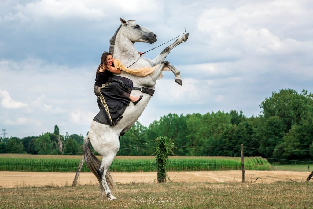 Spectacles équestres - Terres d'Ararat